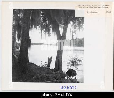 River Scenes - Florida. Photographs Relating to National Forests ...