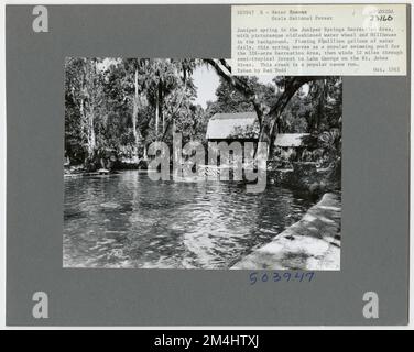 River Scenes - Florida. Photographs Relating to National Forests ...