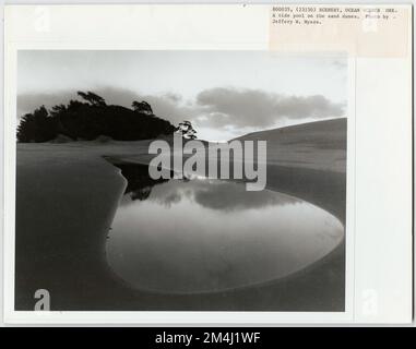 Ocean Scenes - Oregon. Photographs Relating to National Forests ...