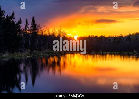 Sunrise reflections in a beaver pond in early spring, Greater Sudbury ...
