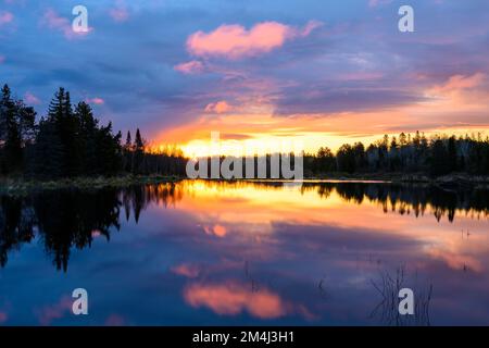 Sunrise reflections in a beaver pond in early spring, Greater Sudbury ...