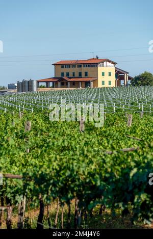 Winery near Verona, Valpolicella wine region, Pedemonte, Verona, Veneto ...