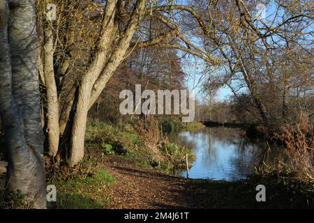 The tow path along a river in Surrey, UK Stock Photo - Alamy