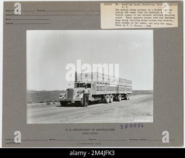 Transportation of Livestock - All States. Photographs Relating to ...