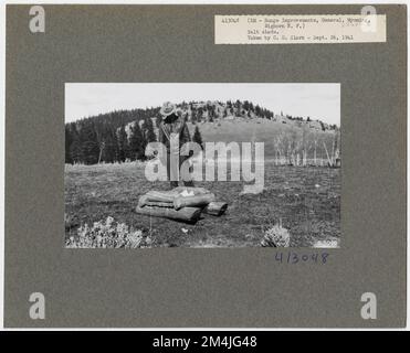 Supplement Feeding - All States. Photographs Relating to National ...