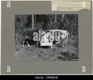 Supplement Feeding - All States. Photographs Relating to National ...