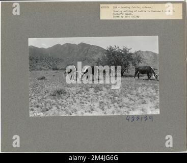 Supplement Feeding - All States. Photographs Relating to National ...