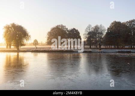 A lake in Bushy Park is frozen this morning. Image shot on 10th Dec ...