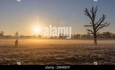 Bushy Park is covered in frost this morning. Image shot on 10th Dec ...