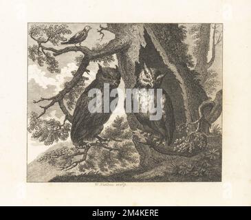 The Sparrow Story Stock Photo - Alamy