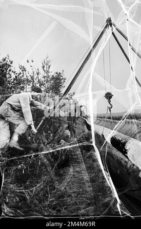 NATO Anniversary. Photographs of Marshall Plan Programs, Exhibits, and ...