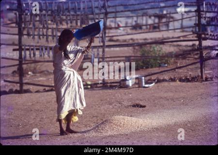 The Kolis, a traditional fishing community in Maharashtra. Koli, the ...