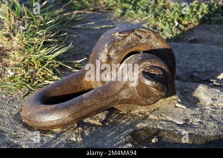 A huge, old, rusted shackle in the woods Stock Photo - Alamy