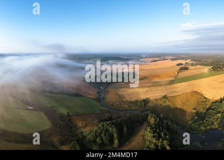 An aerial view of the big landscapes with fir forests and wheat fields ...