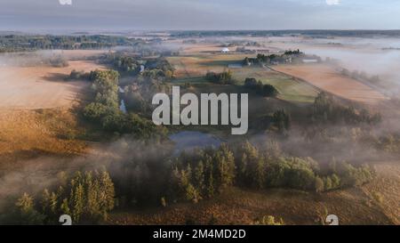 An aerial view of the big landscapes with fir forests and wheat fields ...