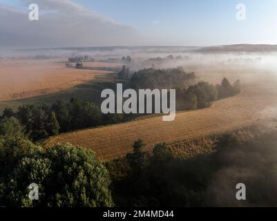 An aerial view of the big landscapes and fir forests on a misty day ...