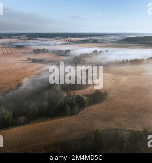 An aerial view of the big landscapes with fir forests and wheat fields ...