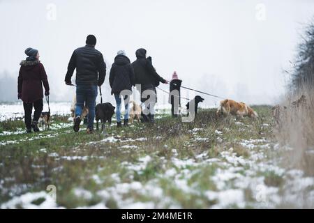 Wide shot of people walking dogs in nature. High quality photo Stock ...