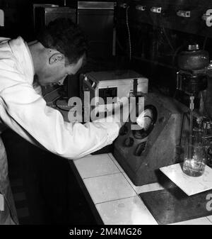 Robertson Factory at Le Havre. Photographs of Marshall Plan Programs ...