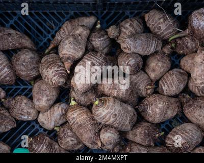 Vibrant South Asian flavours and fresh, organic South Asian vegetables ...