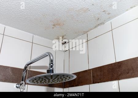 Start of mold build-up on bathroom ceiling, still with simple cleaning ...