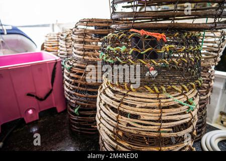 fish market with fish and crustations. seafood. Catching live Lobster ...