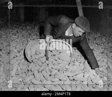 Madeleine Farm near PAU. Photographs of Marshall Plan Programs ...