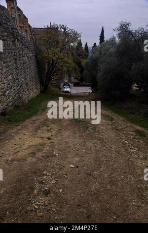 Downhill dirt path bordered by a boundary wall and an olive tree grove ...