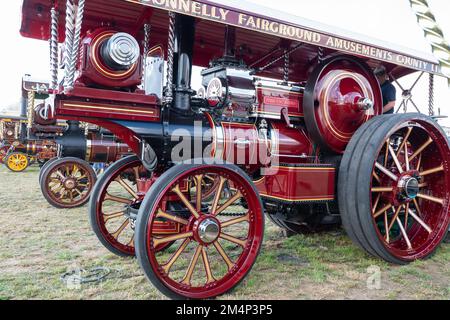 Steam Traction Engine The Pride of Shannon no. 15713 built by John ...