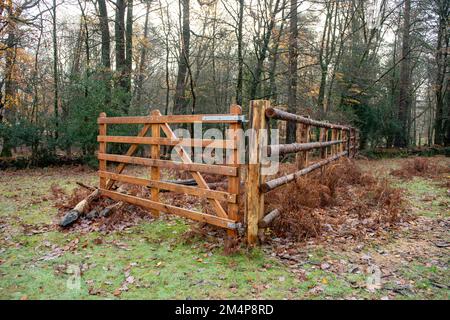 Fences and enclosures in the new forest Hampshire England to herd and ...