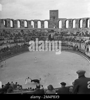 The Camargue - (Magazine Unit). Photographs of Marshall Plan Programs ...