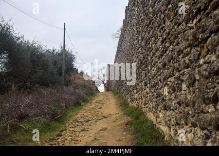 Dirt path next to a stone fortification and olive trees with ...