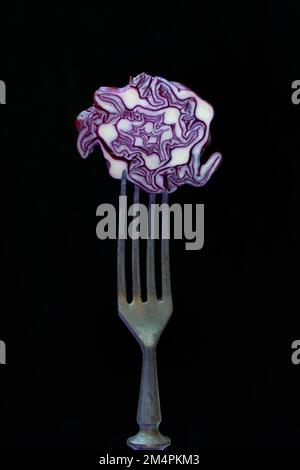 Red cabbage, red cabbage on fork Stock Photo - Alamy