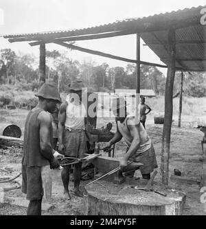 Magazine Unit - Logging in the Gabon. Photographs of Marshall Plan ...