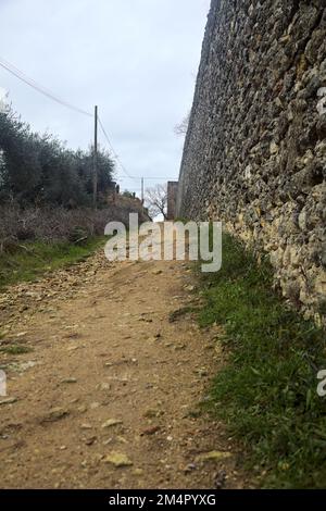 Dirt path next to a stone fortification and olive trees with ...