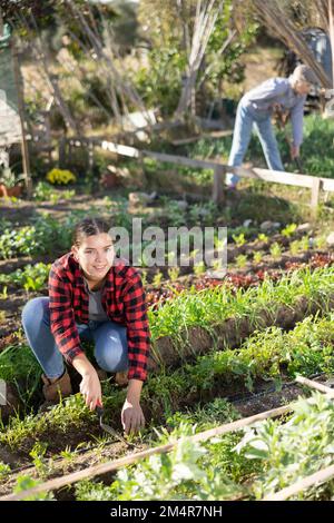 Farmer woman using chopper to harvest weeds on field Stock Photo - Alamy