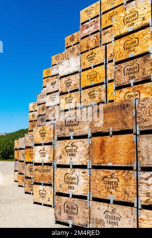 Large stack of wooden crates full of ripe apples; Palouse Region ...