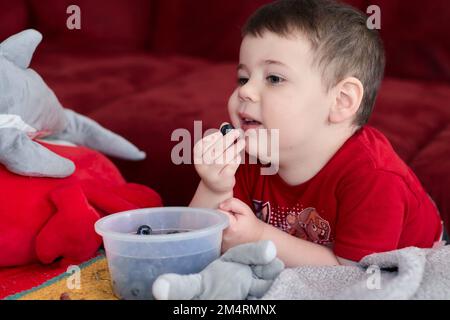 adorable boy is watching tv and eating blueberries in the livingroom ...