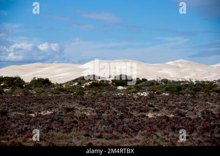 Point Sinclair Sand Dunes - South Australia Stock Photo - Alamy
