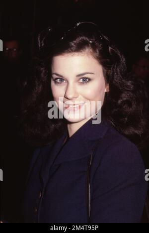 Delta Burke Credit: Ralph Dominguez/MediaPunch Stock Photo - Alamy
