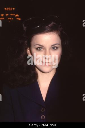 Delta Burke Circa 1980's . Credit: Ralph Dominguez/MediaPunch Stock ...