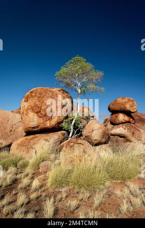 Famous granite boulder called Devils Marbles Stock Photo - Alamy