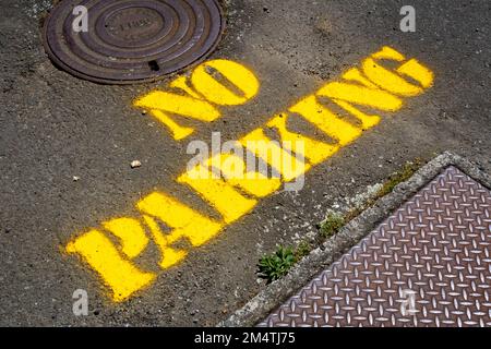 "No Parking" signs, Petone, Wellington, North Island, New Zealand Stock ...