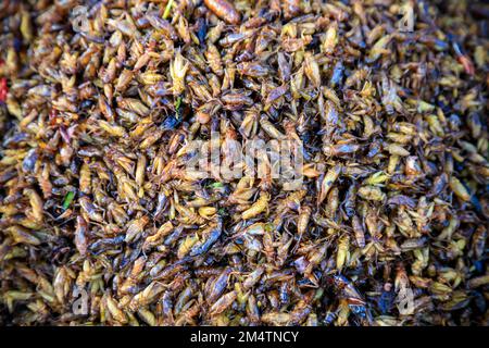 Fried bugs and insects are a common street food snack in Thailand and ...