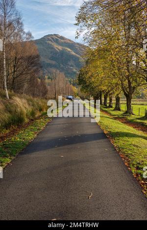 Tree lined Scottish B-road at Killilan Stock Photo - Alamy