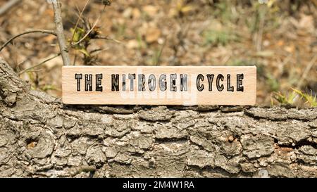 Global warming word. Background log written on wooden frame. Nature and ...