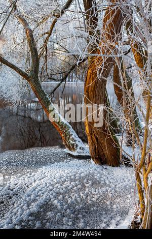 Wkra river, Poland Stock Photo - Alamy