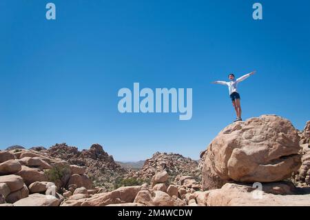 large boulders and desert plants within Joshua tree national park ...