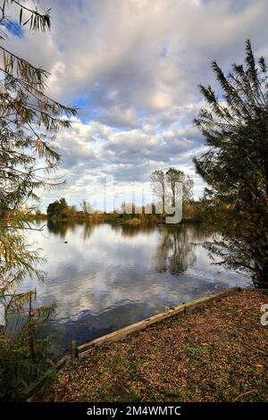 Autumn view over Manea pit wildlife site, Manea town, Cambridgeshire ...