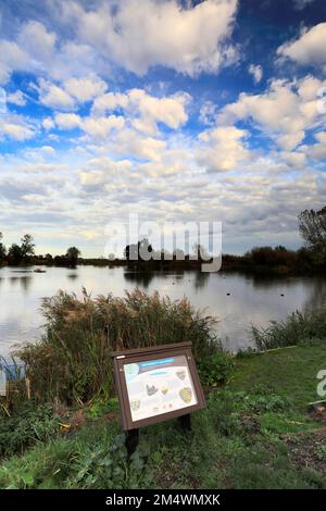 Autumn view over Manea pit wildlife site, Manea town, Cambridgeshire ...